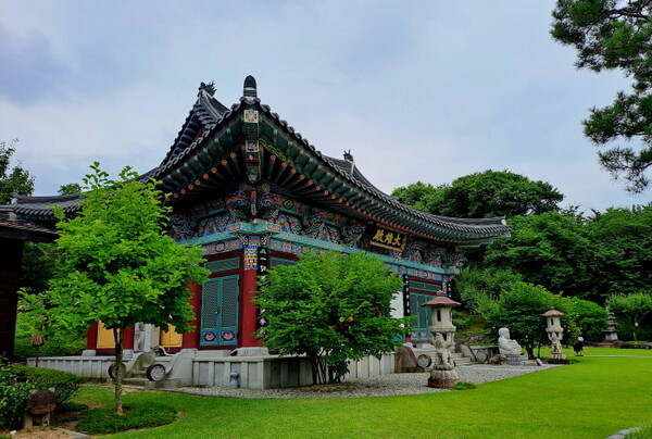 [영상 / 포토] 청주 마야사, 정원을 걷다...꽃과 나무가 법문을 전하고